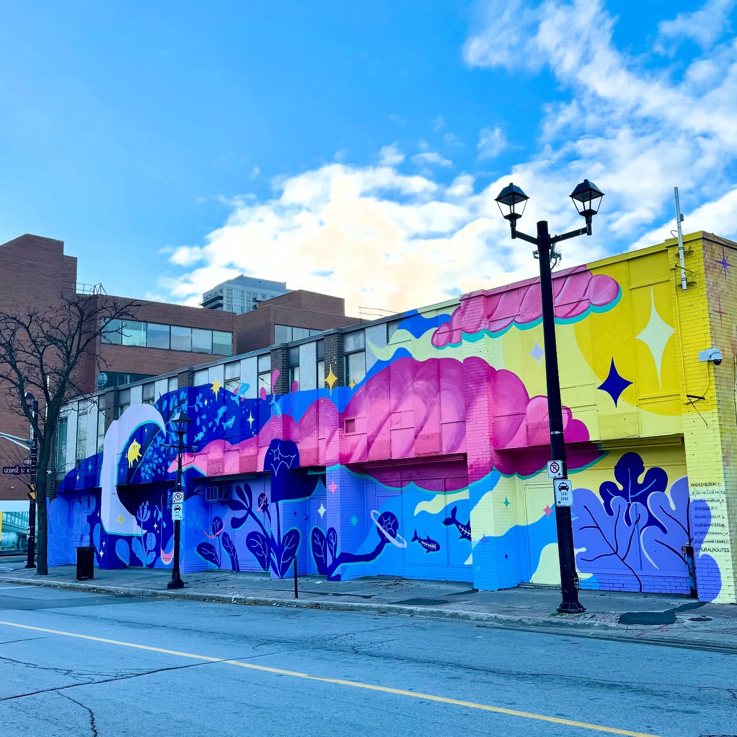 Mural Painting Project for Teens | Visual Arts Brampton Store